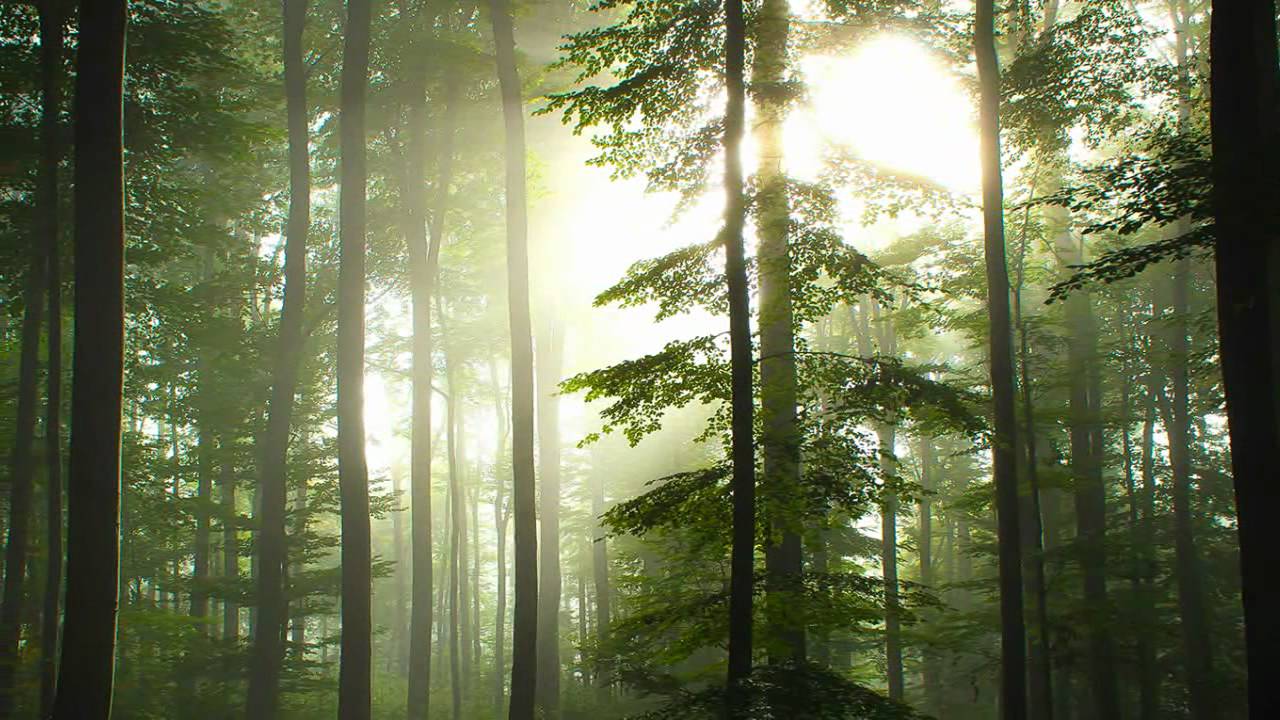 Skyler Liu - Sound Of New Morning - YouTube