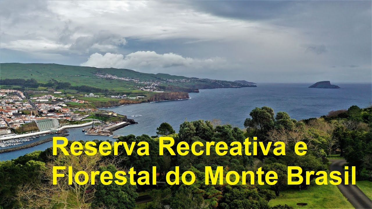 Reserva Recreativa Florestal do Monte Brasil, na ilha Terceira, Açores ...