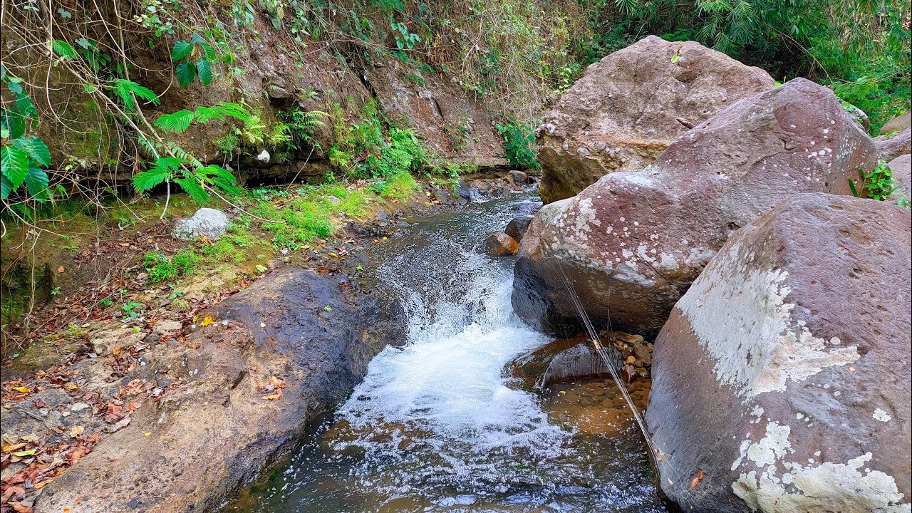 Rushing Water Sounds Flowing Over Boulder, Relaxing River Sounds For ...