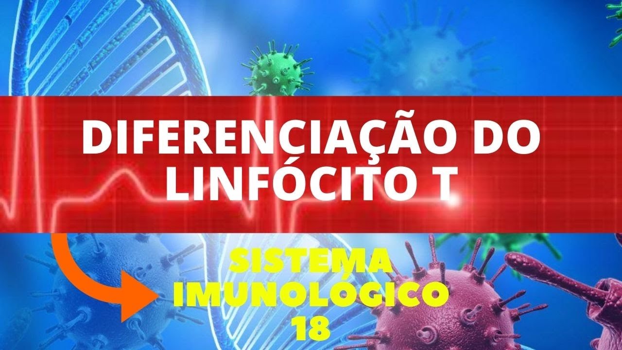 DIFERENCIAÇÃO DO LINFÓCITO T - (IMUNOLOGIA) - SISTEMA IMUNOLÓGICO - YouTube