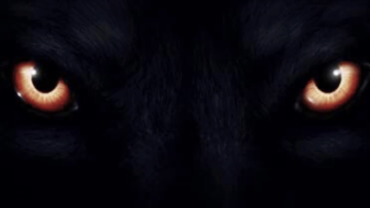 THA HUNGRY WOLF 🐺 (Snippet 🚨🔥🔌) BASS BOOTED 🔊 - YouTube