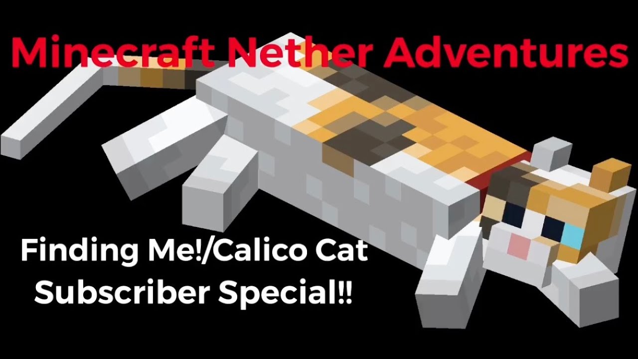 Finding Me!!/Finding A Calico Cat (Subscriber Special)Minecraft Nether ...
