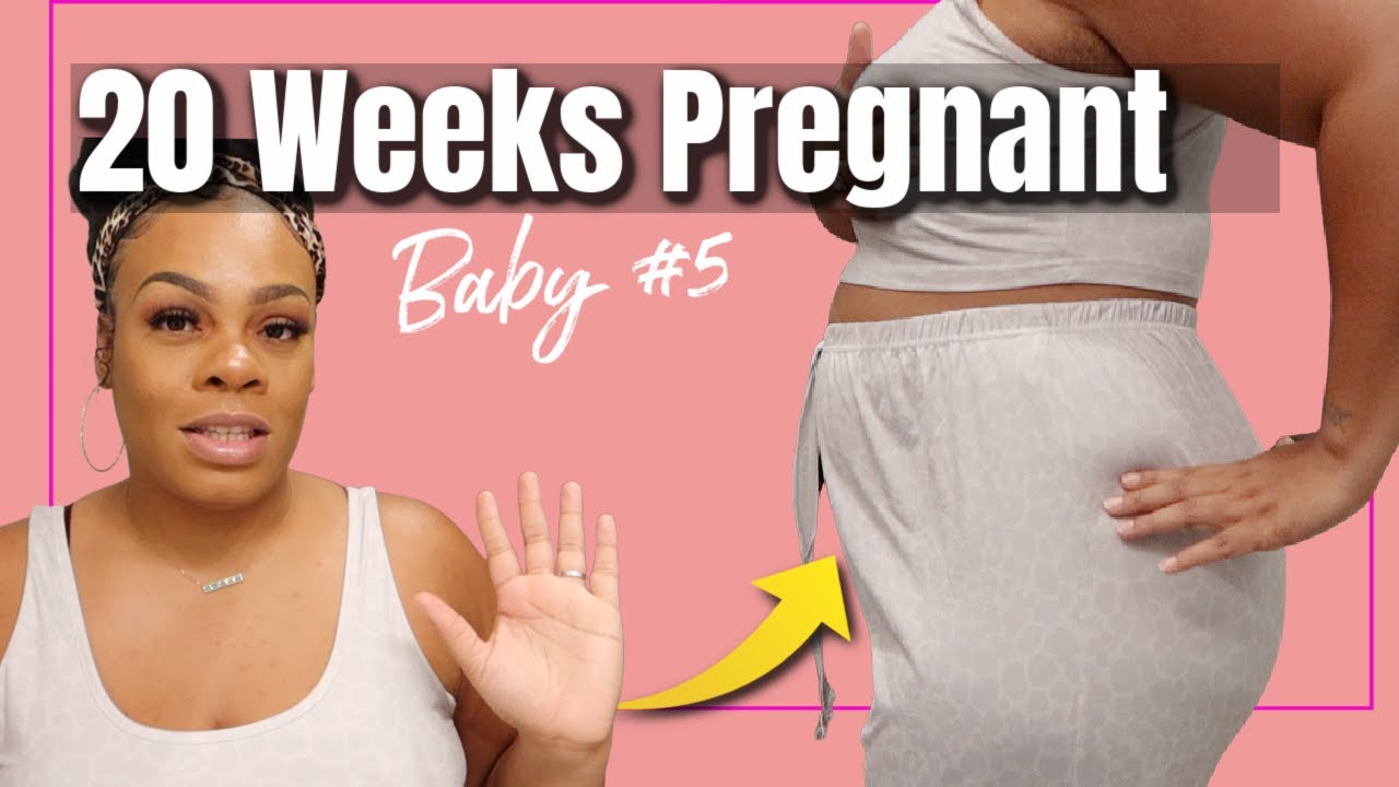 19 And 20 Weeks Pregnancy Update Youtube
