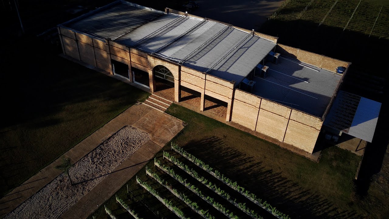 VINÍCOLA FERRACINI - YouTube