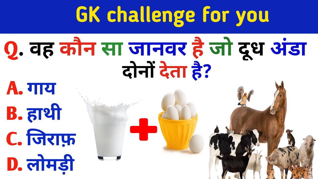 gk quiz ||gk || GK question ||gk in hindi || gk question and answers || br gk study|| GK study ...