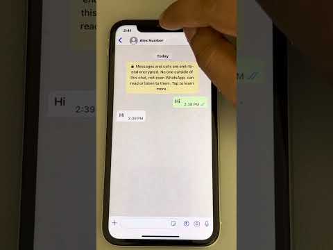 How to know if someone has saved your phone number on WhatsApp - YouTube