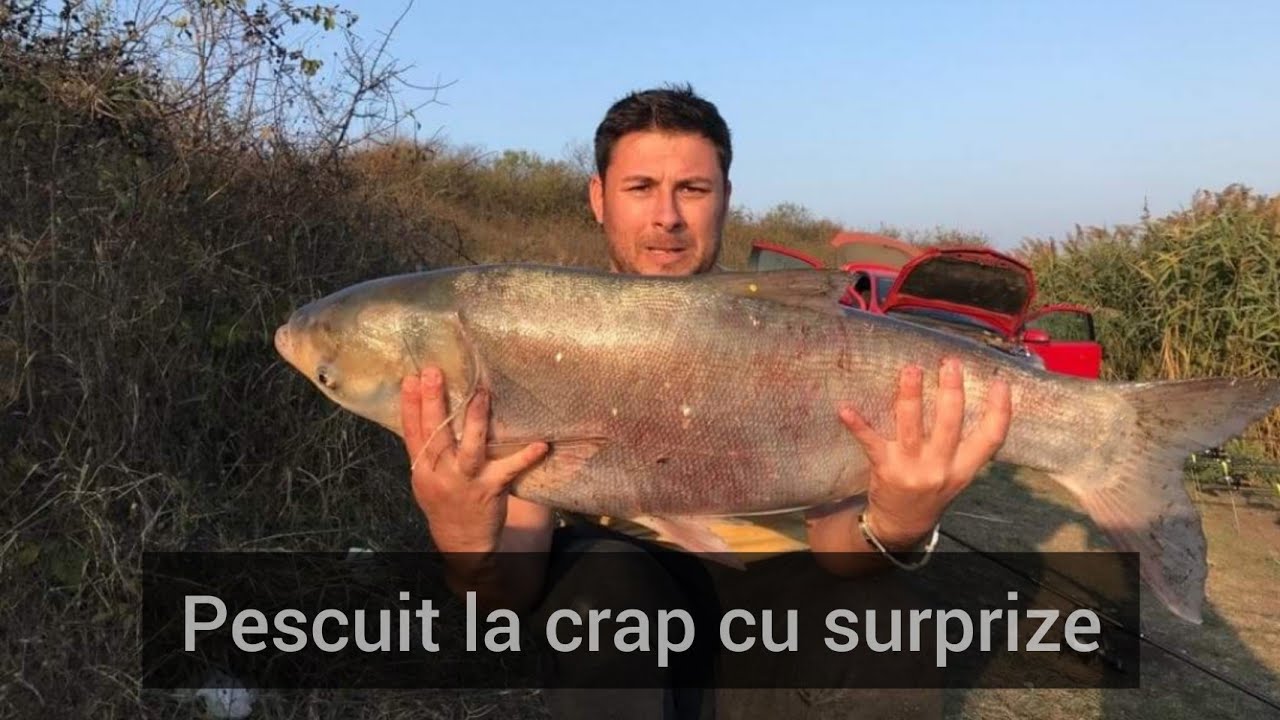 PESCUIT LA CRAP CU SURPRIZE ⚡Ionut Ghita - YouTube