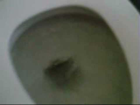 my mancesa home toilet flush - YouTube