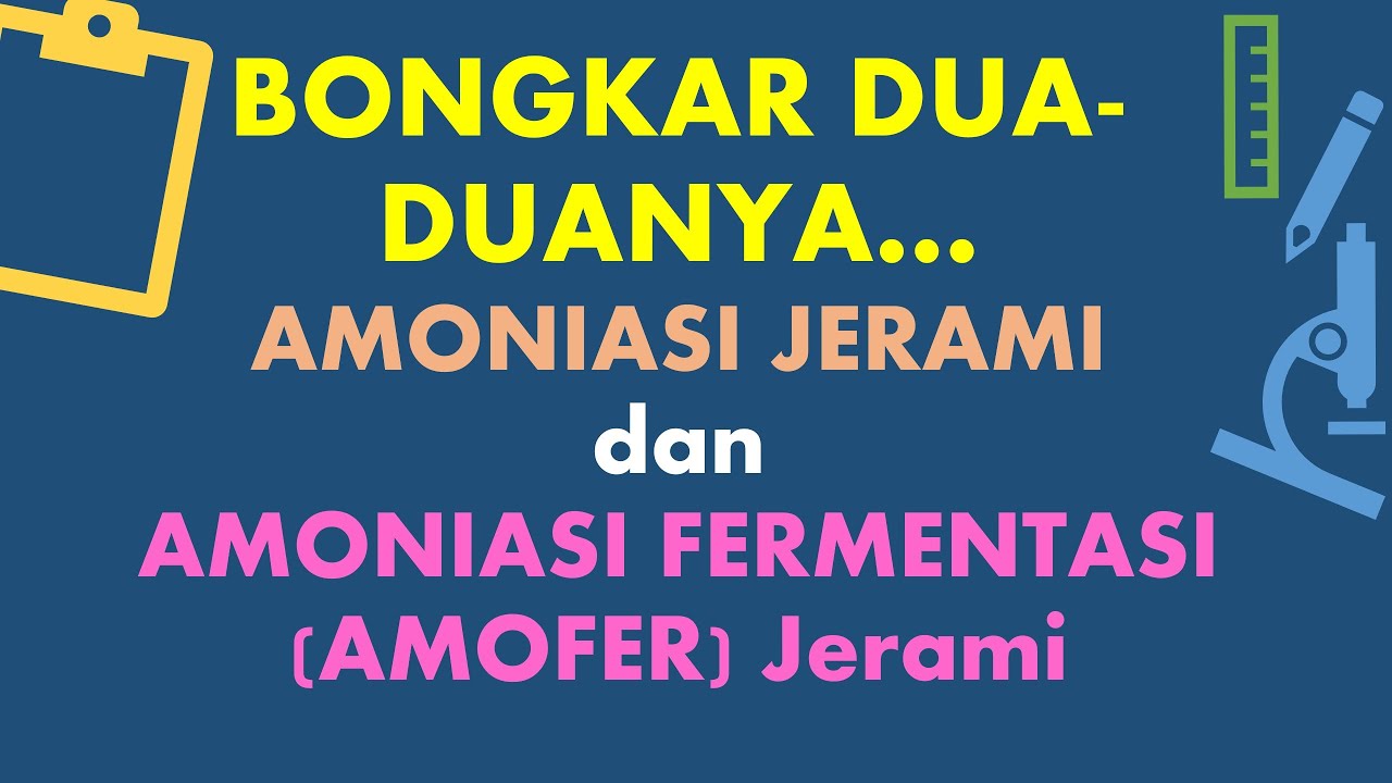 Bongkar DUA-DUANYA Amoniasi dan Amofer Jerami Padi - YouTube