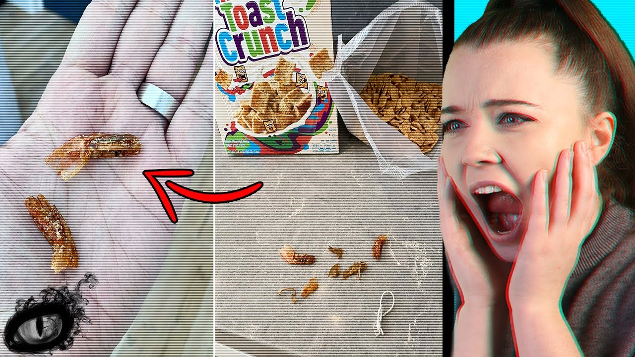 Scary Things FOUND In Food - YouTube