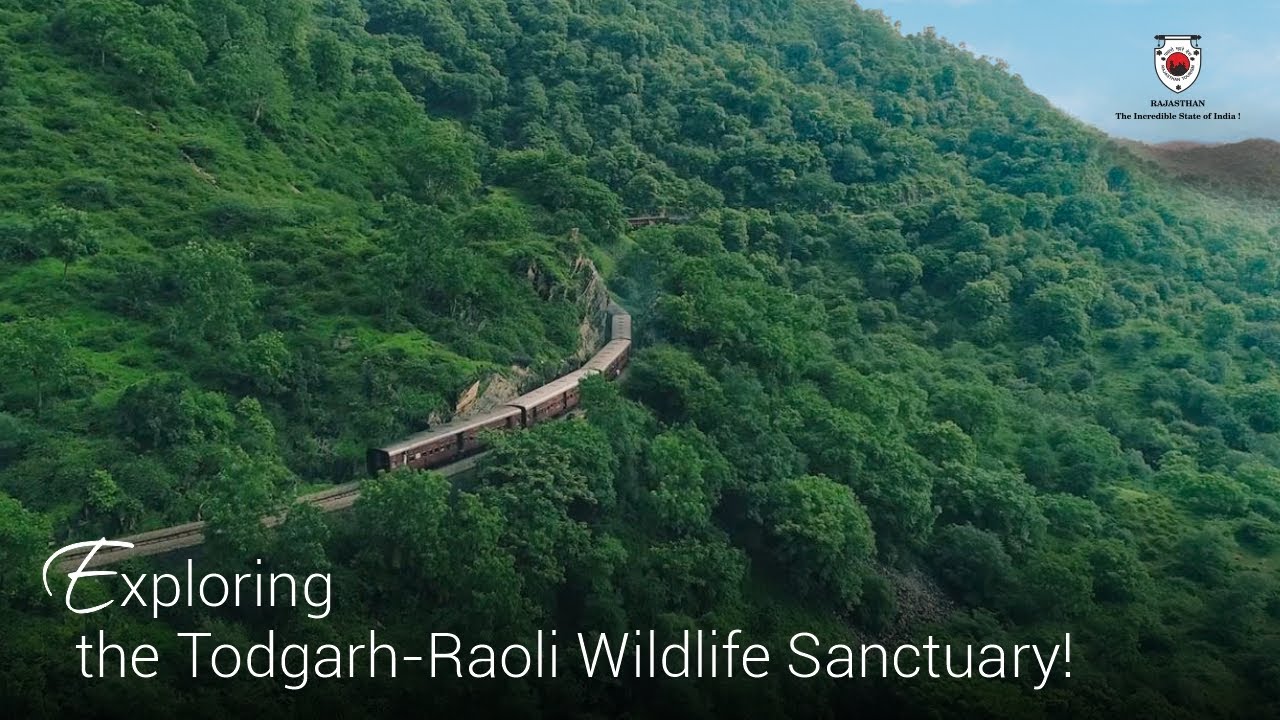 Exploring the Todgarh-Raoli Wildlife Sanctuary! - YouTube