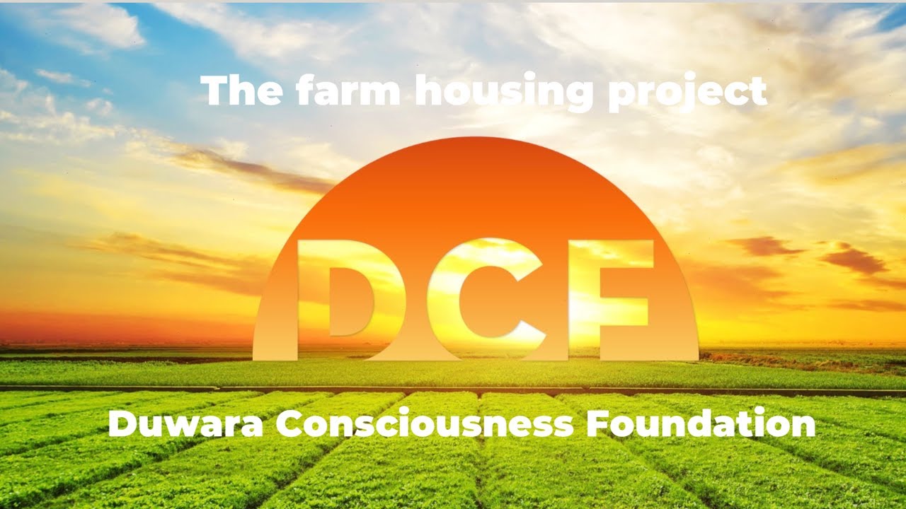 Let's talk about the farm project and give you the vision - YouTube