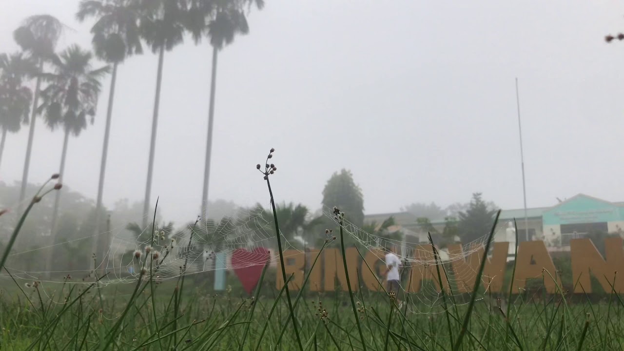 One FOGGY Morning in BINGAWAN, Iloilo - YouTube