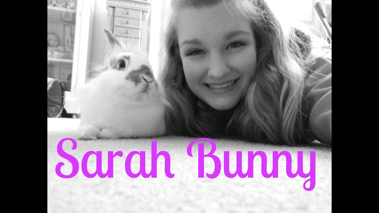 Welcome to Sarah Bunny - YouTube
