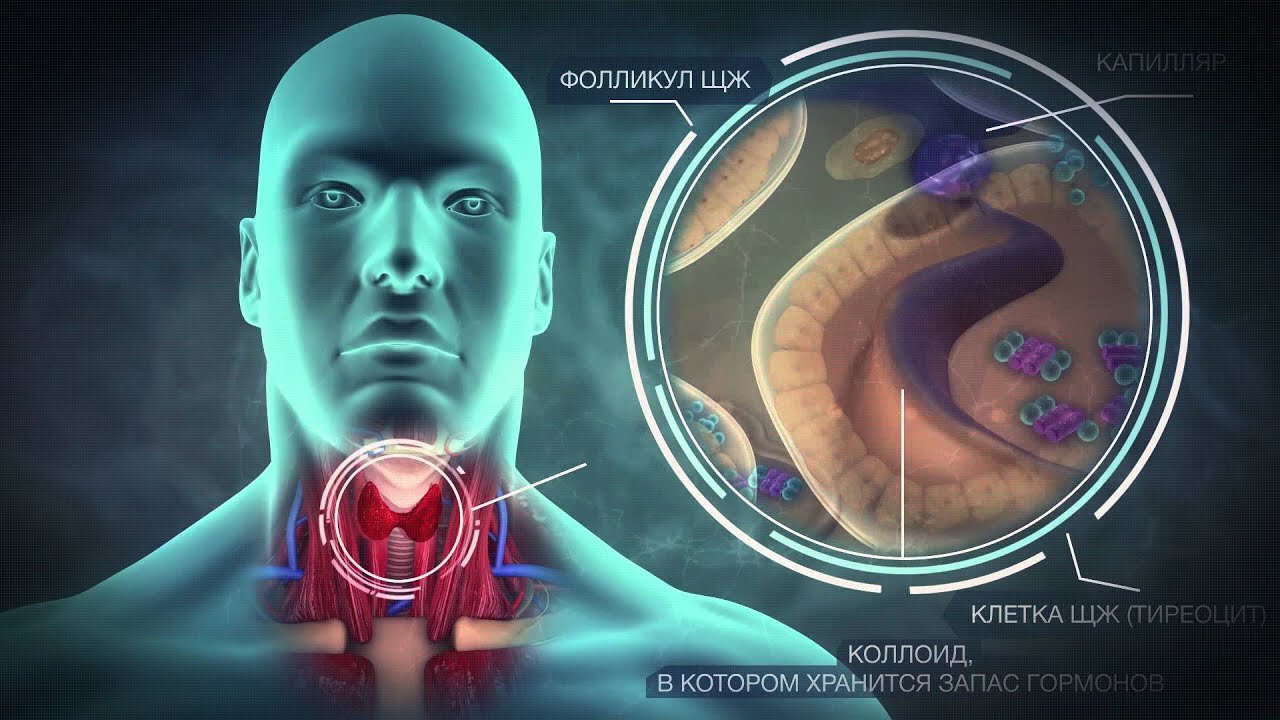 ЙоSен (ЙоСен) - YouTube
