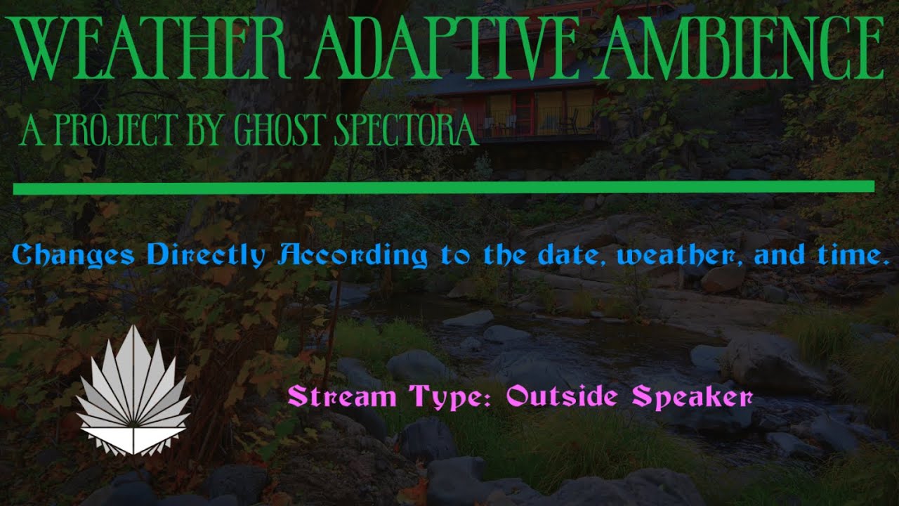 A Calm Forest Walk On A Warm Autumn Day | Adaptive Ambience (Outside ...