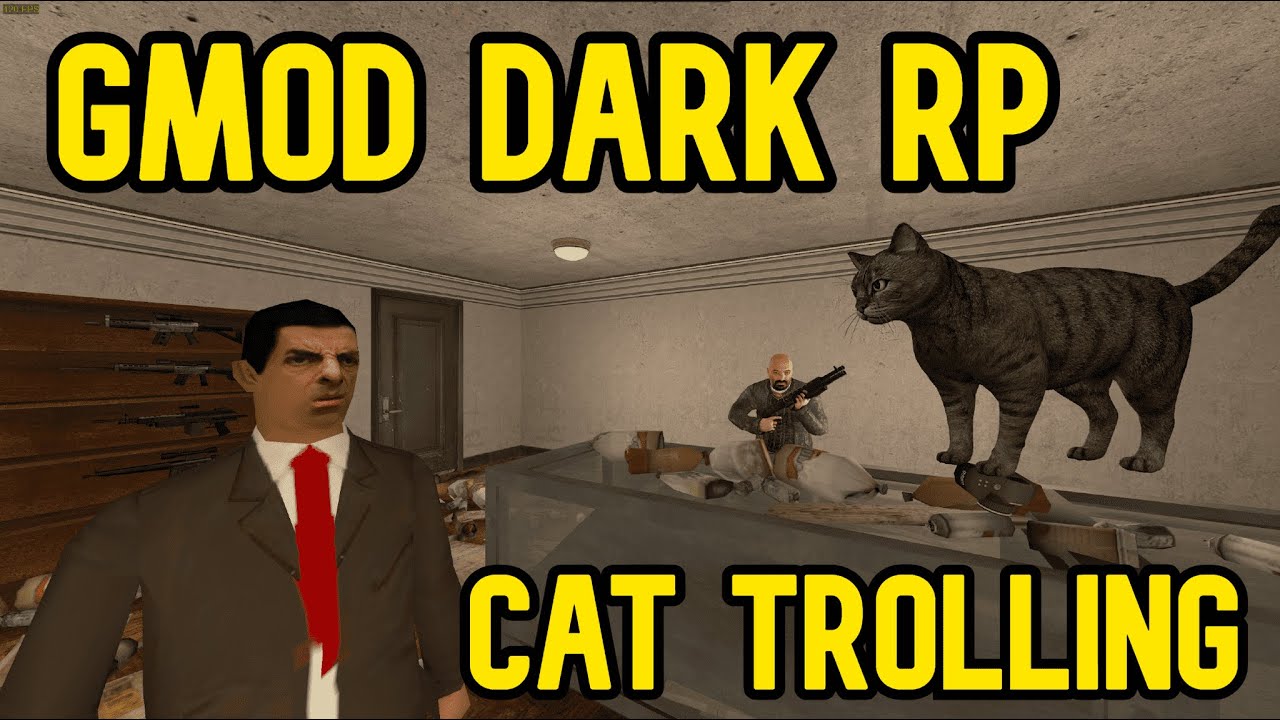 cat trashes gun shop in gmod darkrp - YouTube