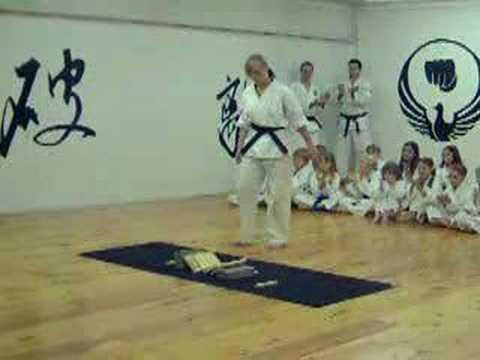 Shodan -Ho - YouTube