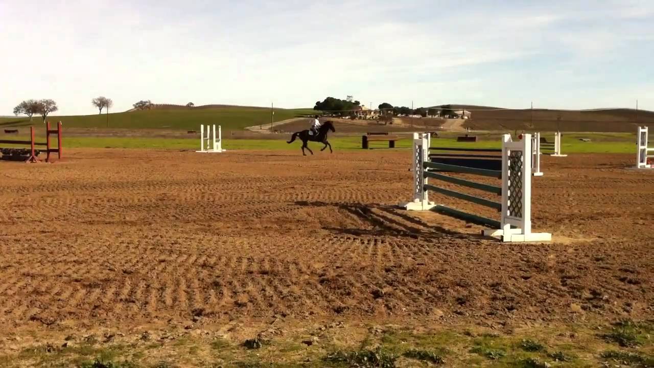 Kristin Cook at twin rivers show jumping 1 - YouTube