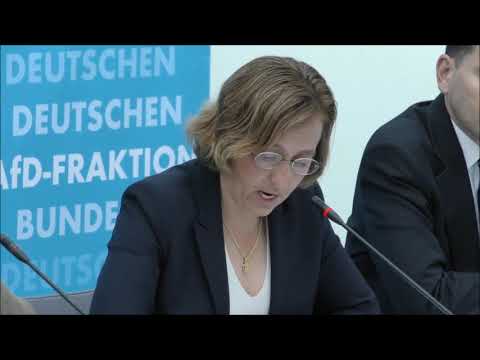 Merkel Untersuchungsausschuß gefordert  - AfD-Pressekonferenz 31.05.2018