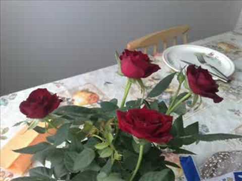 Birol YILDIRIM- Yardan ayrildim