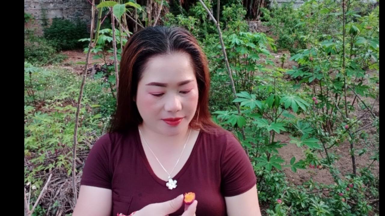 Rov ntsib kuv niam Tus hmoob rov muab kuv tsoob mas mob tiag2 15/05/2023 - YouTube