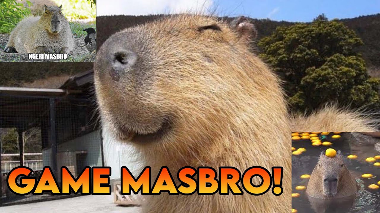 MAININ GAME MASBRO ! - YouTube