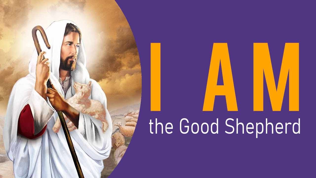 What did Jesus mean when he said “I AM the Good Shepherd?” (I AM Bible ...