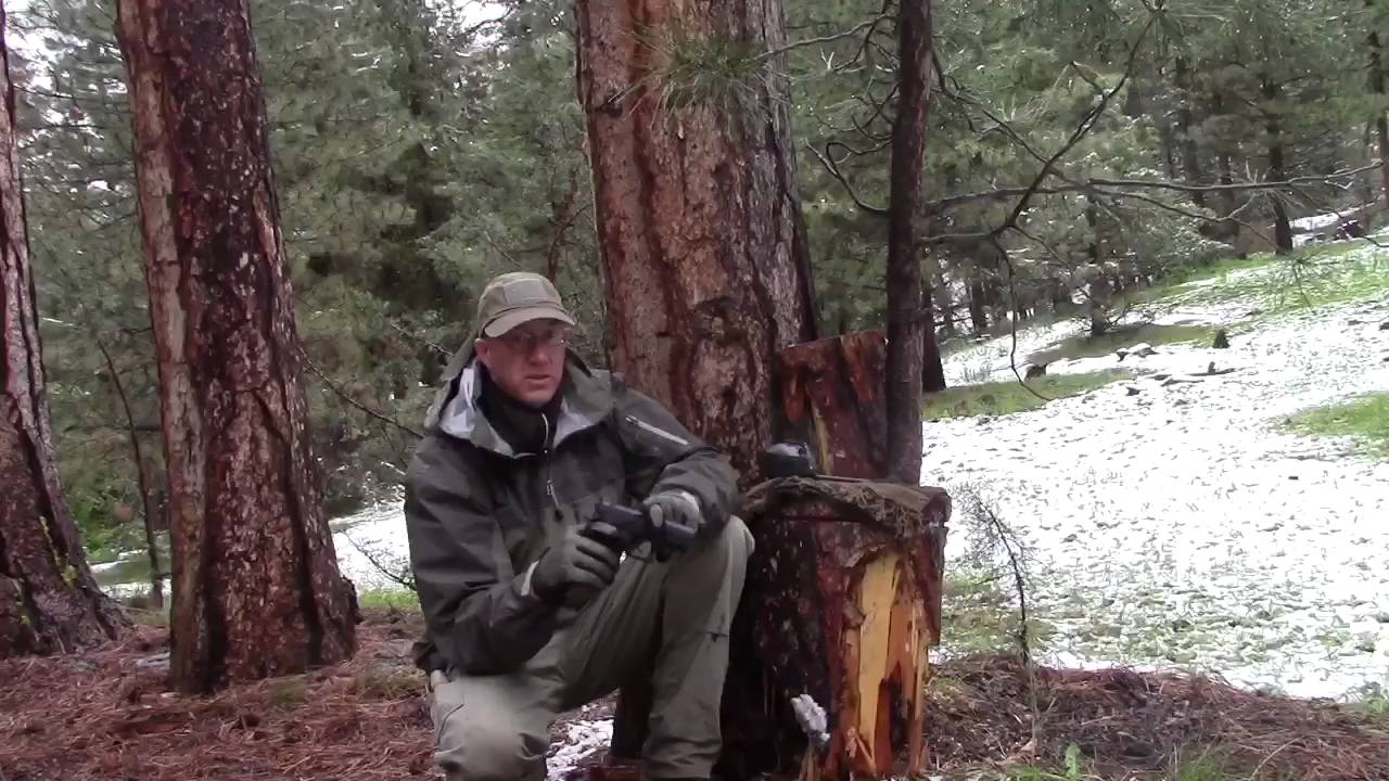 Sphinx Arms SDP Compact - The Sphinx Arms SDP Compact Duty Black ...