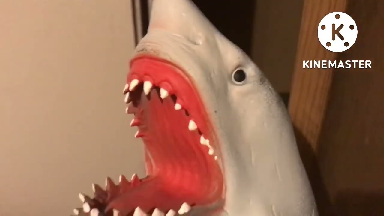 Shark puppet meets scary skeleton 💀 - YouTube