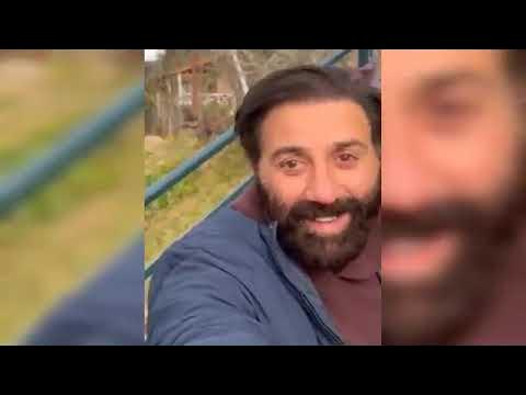 Sunny Deol %E0%A4%95%E0%A5%8D%E0%A4%AF%E0%A5%8B%E0%A4%82 %E0%A4%AC%E0 ...