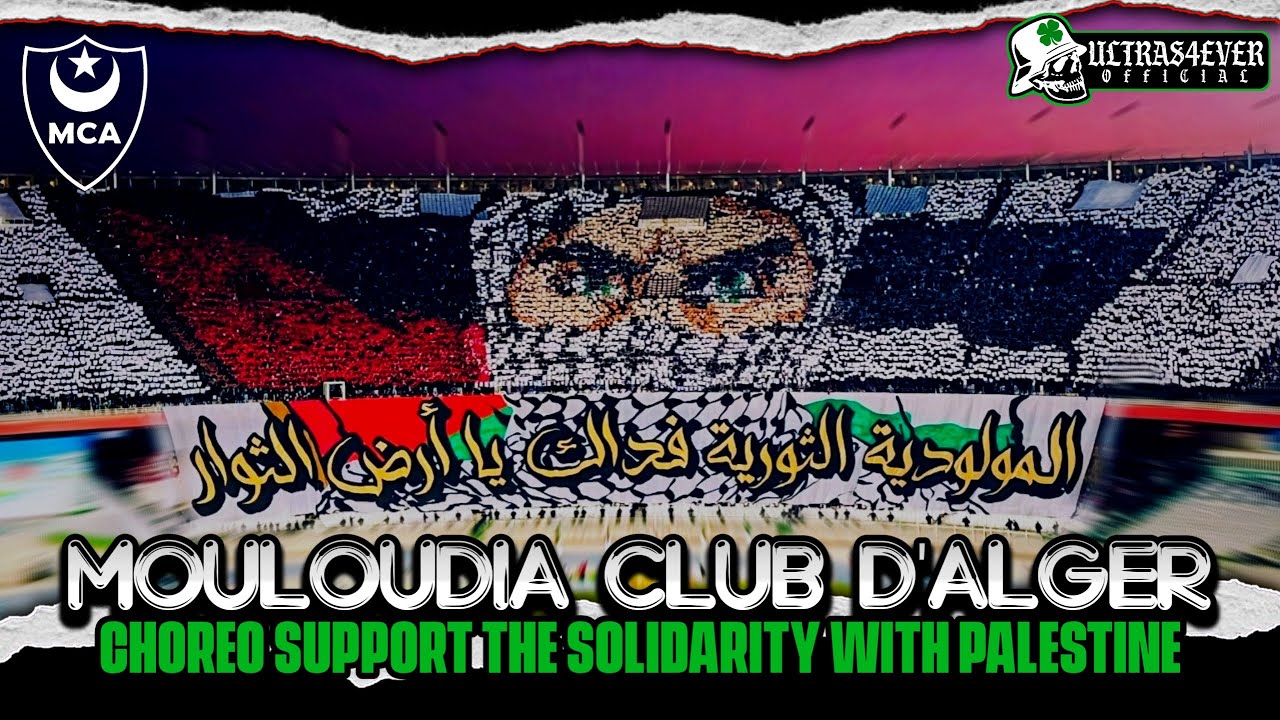 Amazing Tifo From Mouloudia Club d'Alger🇩🇿 Supporter In Solidarity With ...