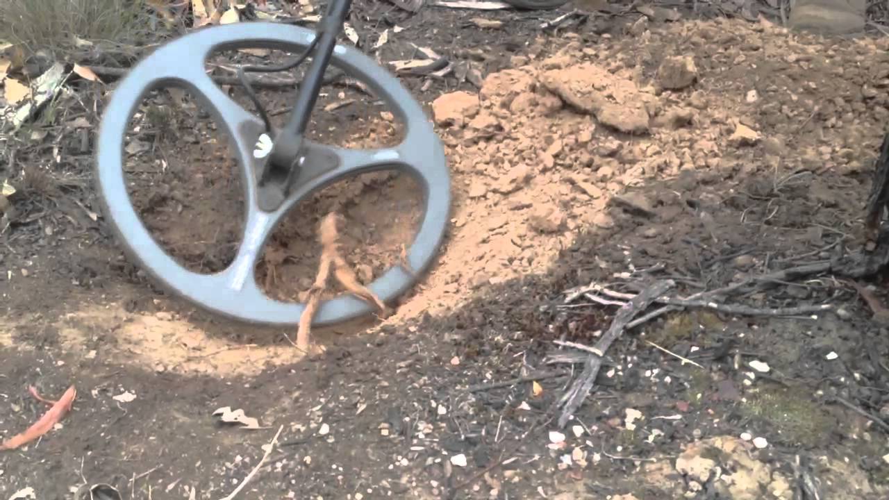 Gold prospecting ballarat Vic 4grams patch - YouTube