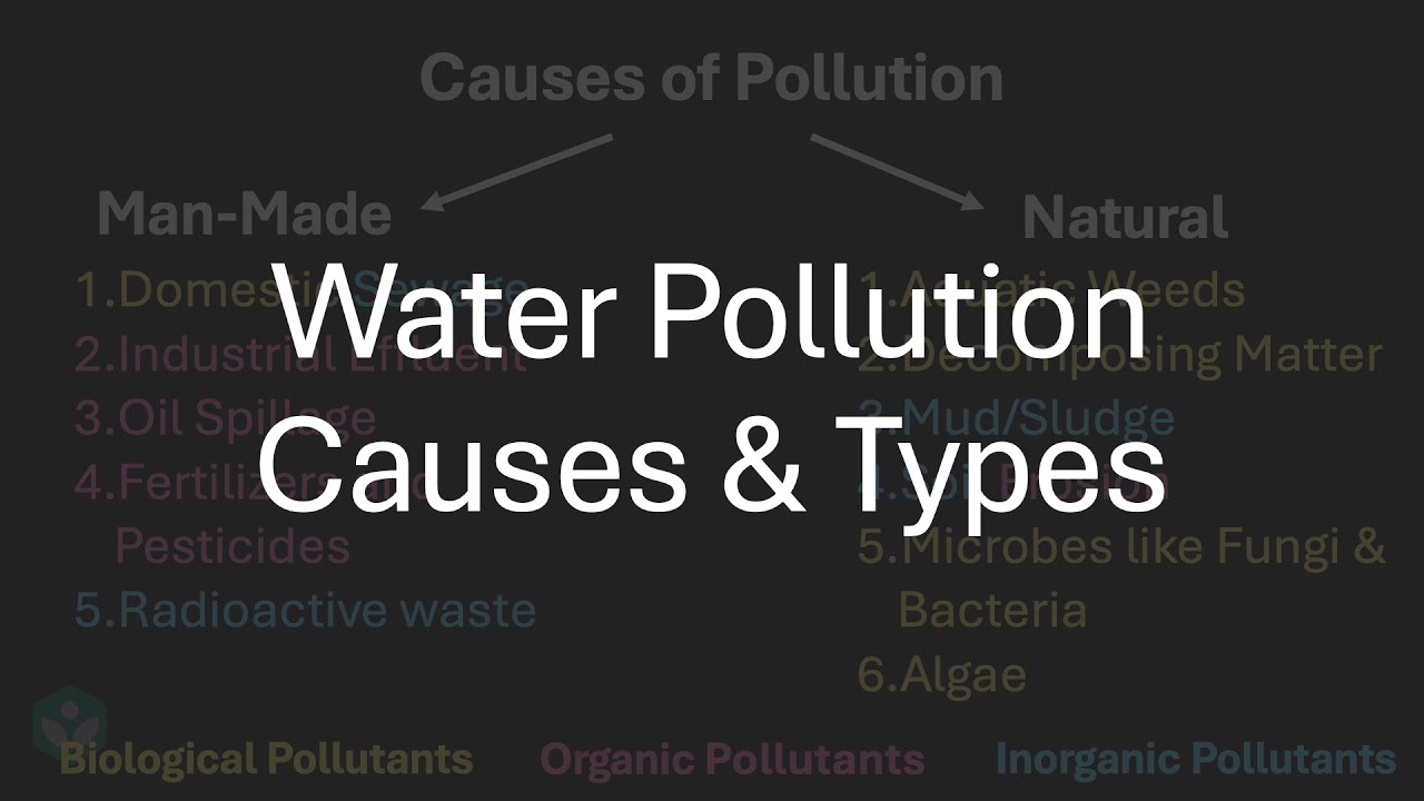 Water Pollution - Causes & Types of Pollutants | Pollution | MH Grade-8 ...