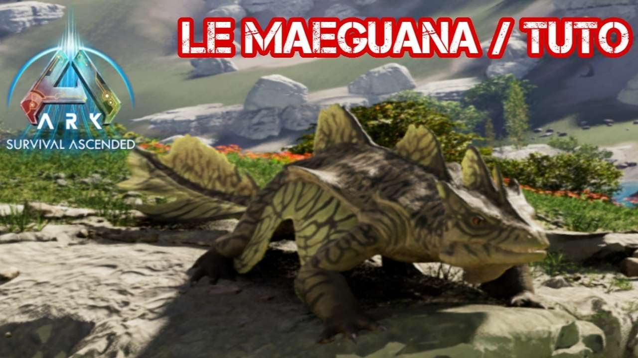 Tous savoir sur le Maeguana sur ark ascended [fr] / tuto - YouTube
