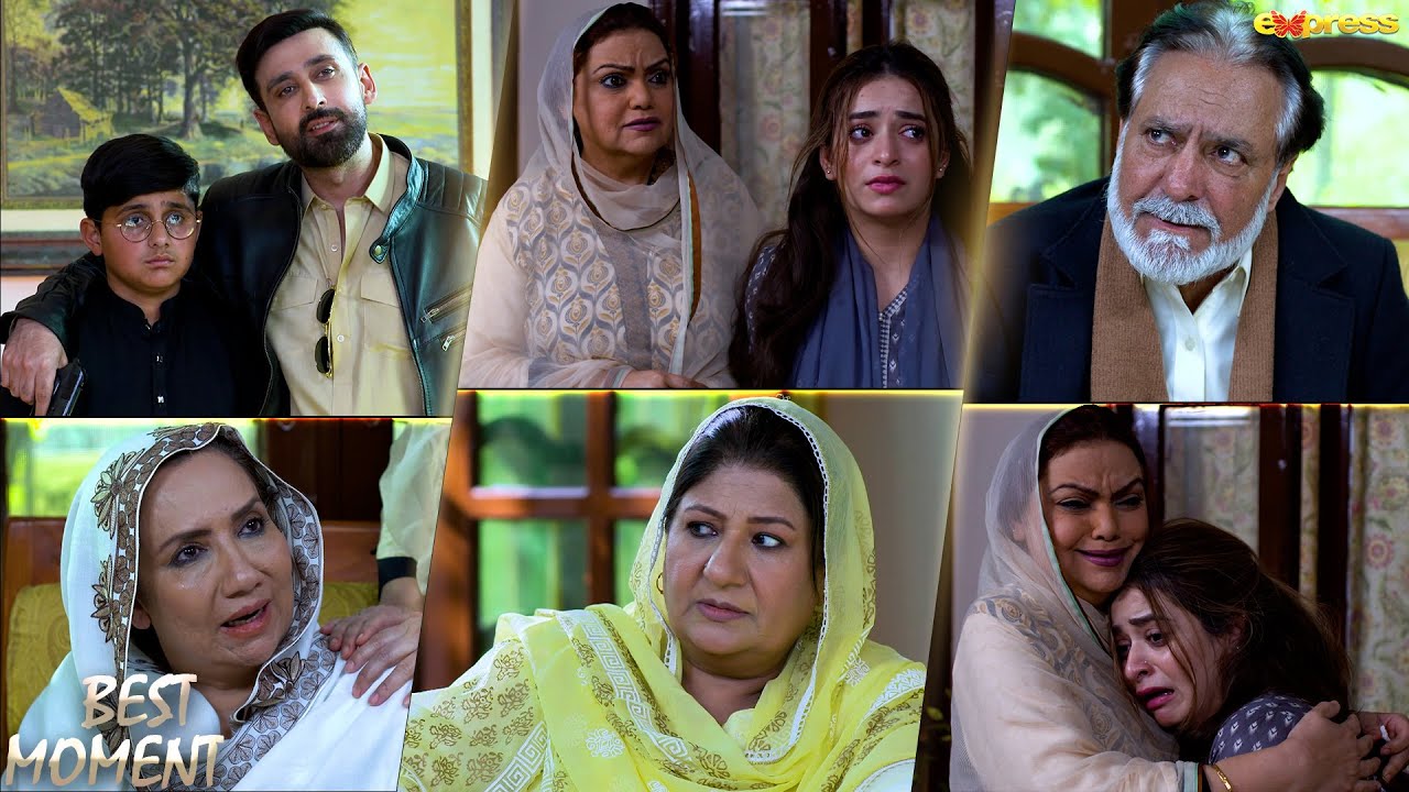 𝐁𝐞𝐬𝐭 𝐌𝐨𝐦𝐞𝐧𝐭 𝟎𝟔 - Muhabbat Ki Akhri Kahani | Alizeh Shah - Shahzad ...