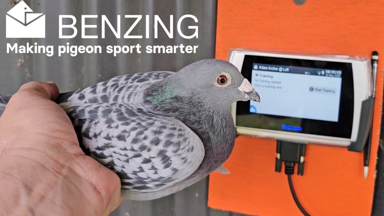 The Benzing M3 Pigeon Clock and Smart Loft Hub is so easy to install ...