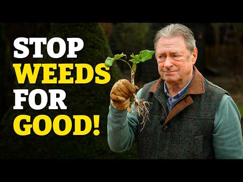 What I Use Instead of Weedkiller (And Why It Works Better)