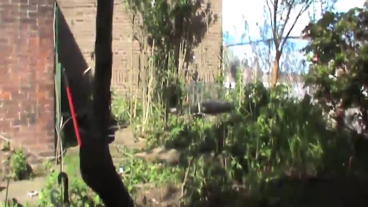 Philly Kenzo Pentecostal Pioneer OutPost - YouTube