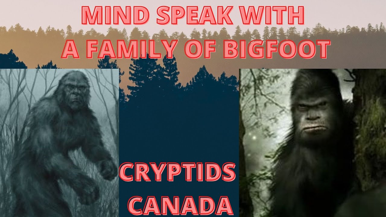 EPISODE 189 RE RECORD One woman's experience with mindspeak - YouTube