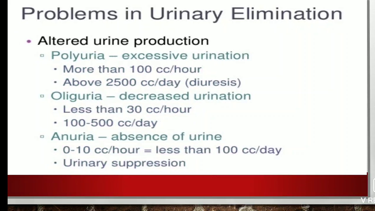 urine elimination - YouTube