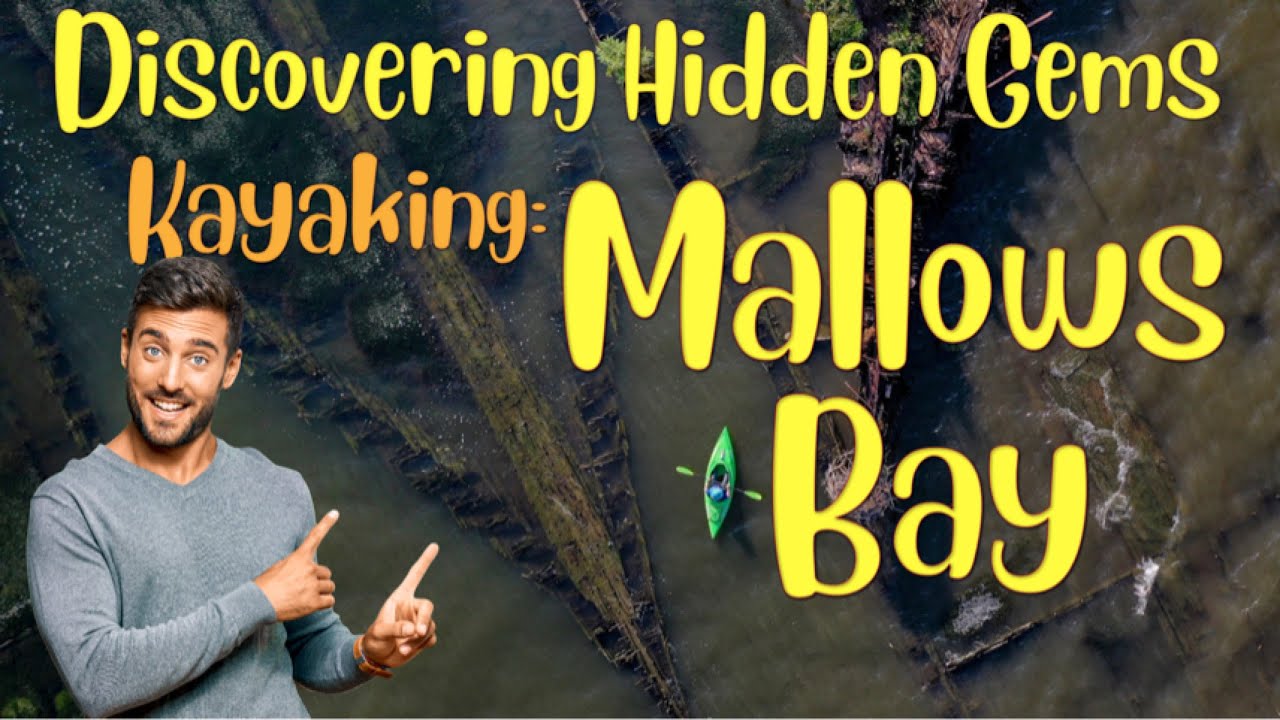 Unveiling Hidden Wonders: Kayaking Mallows Bay's Secret Treasures - YouTube