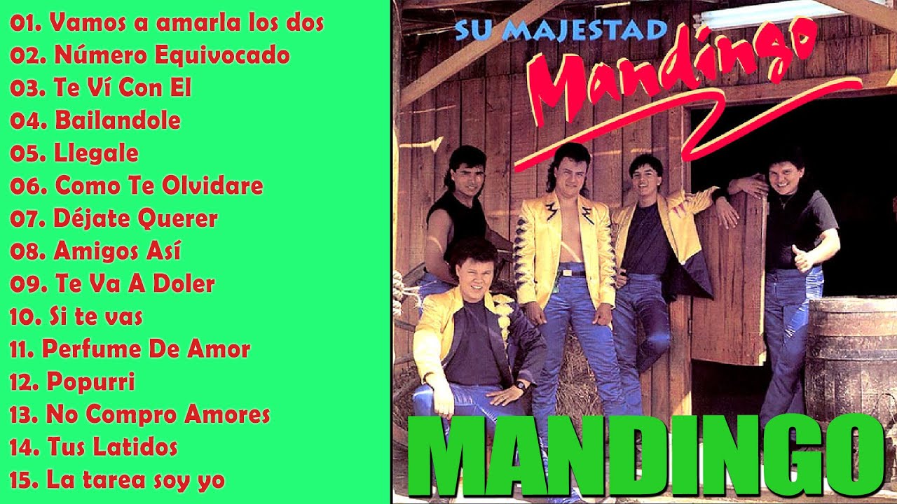 Grupo Mandingo Exitos ️ Mix Romanticas 2024 🌹 Exitos Sus Mejores ...