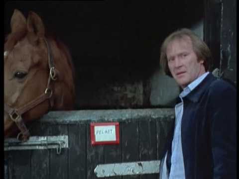 Minder, Arthur Daley, Terry McCann - Terry meets the Horse! - YouTube