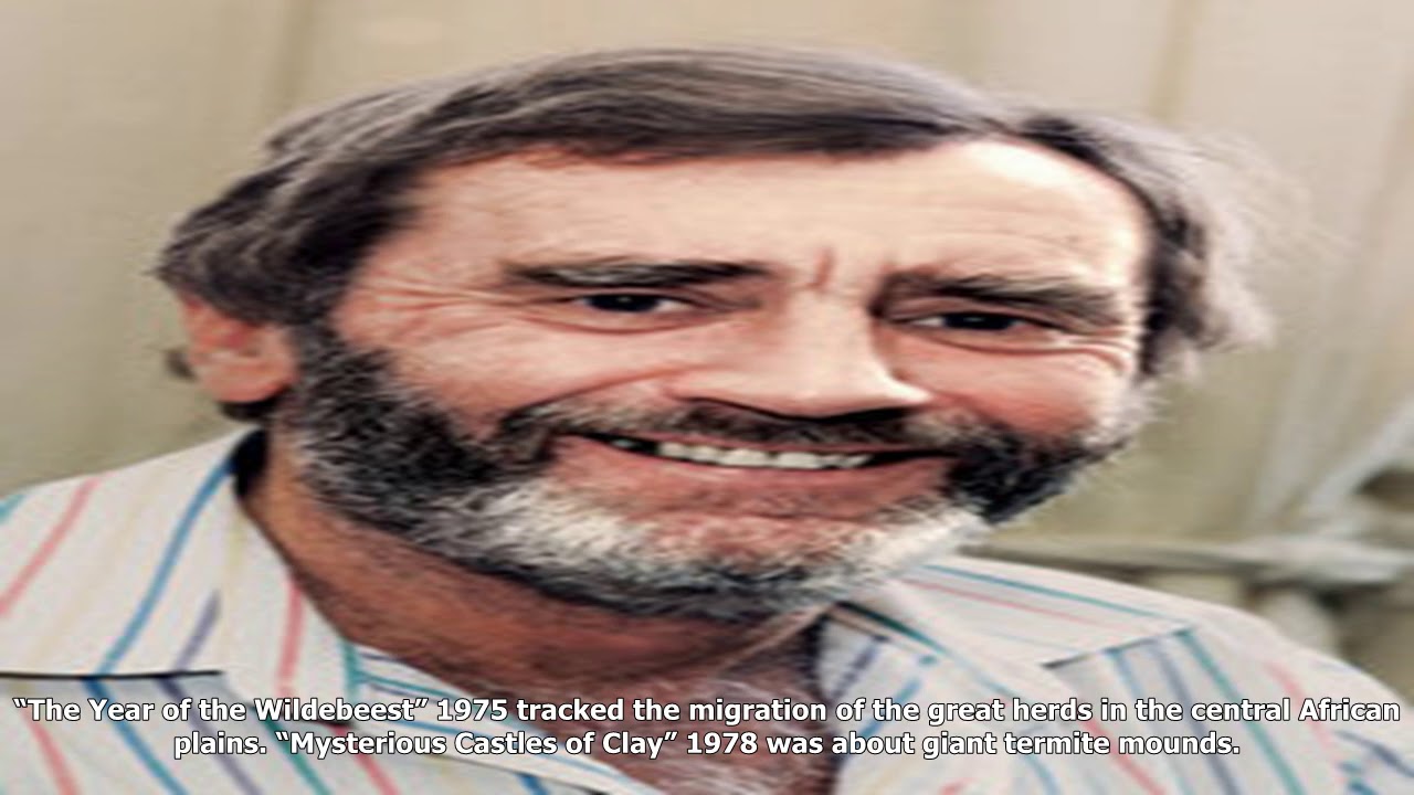 Alan root, oft-bitten wildlife filmmaker, dies at 80 - YouTube