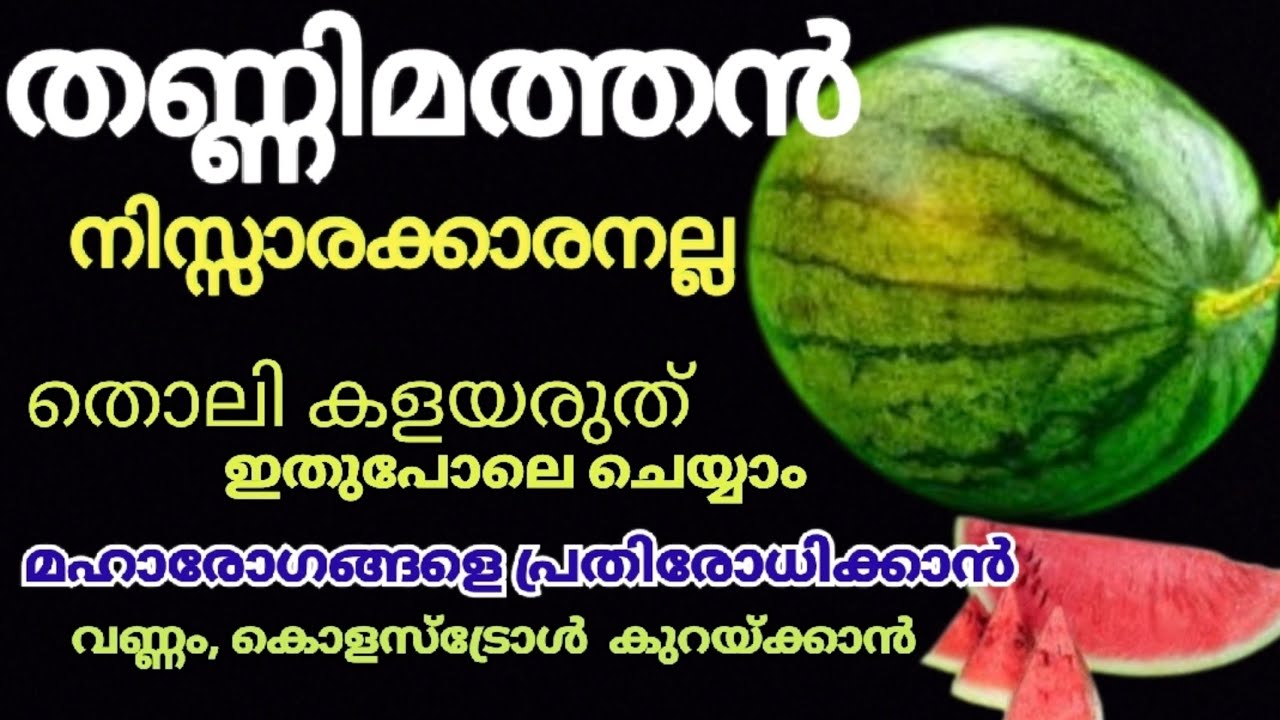 രക്തസമ്മർദ്ദം കൊളസ്‌ട്രോൾ അമിതവണ്ണം തണ്ണിമത്തൻ |Thannimathan| Health ...