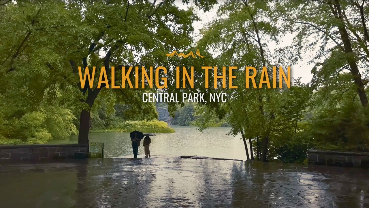 Central Park Rain Walk NYC: Immersive Binaural Rain & Thunder ASMR ...