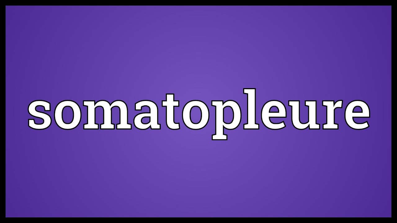 Somatopleure Meaning - YouTube