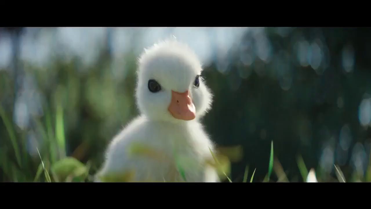 El vídeo más tierno que verás hoy - YouTube