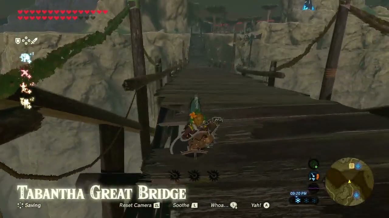 We Fell through Tabantha Great Bridge - YouTube